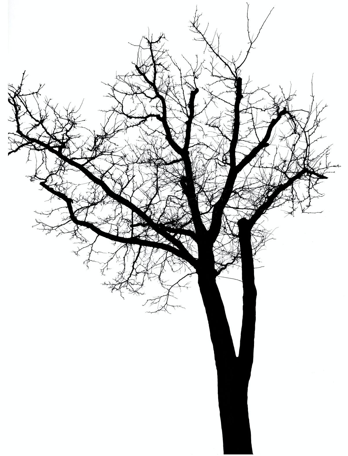 A demonstration of Composite Pattern using Ruby | by Vu Xuan Nhat Tran | Medium