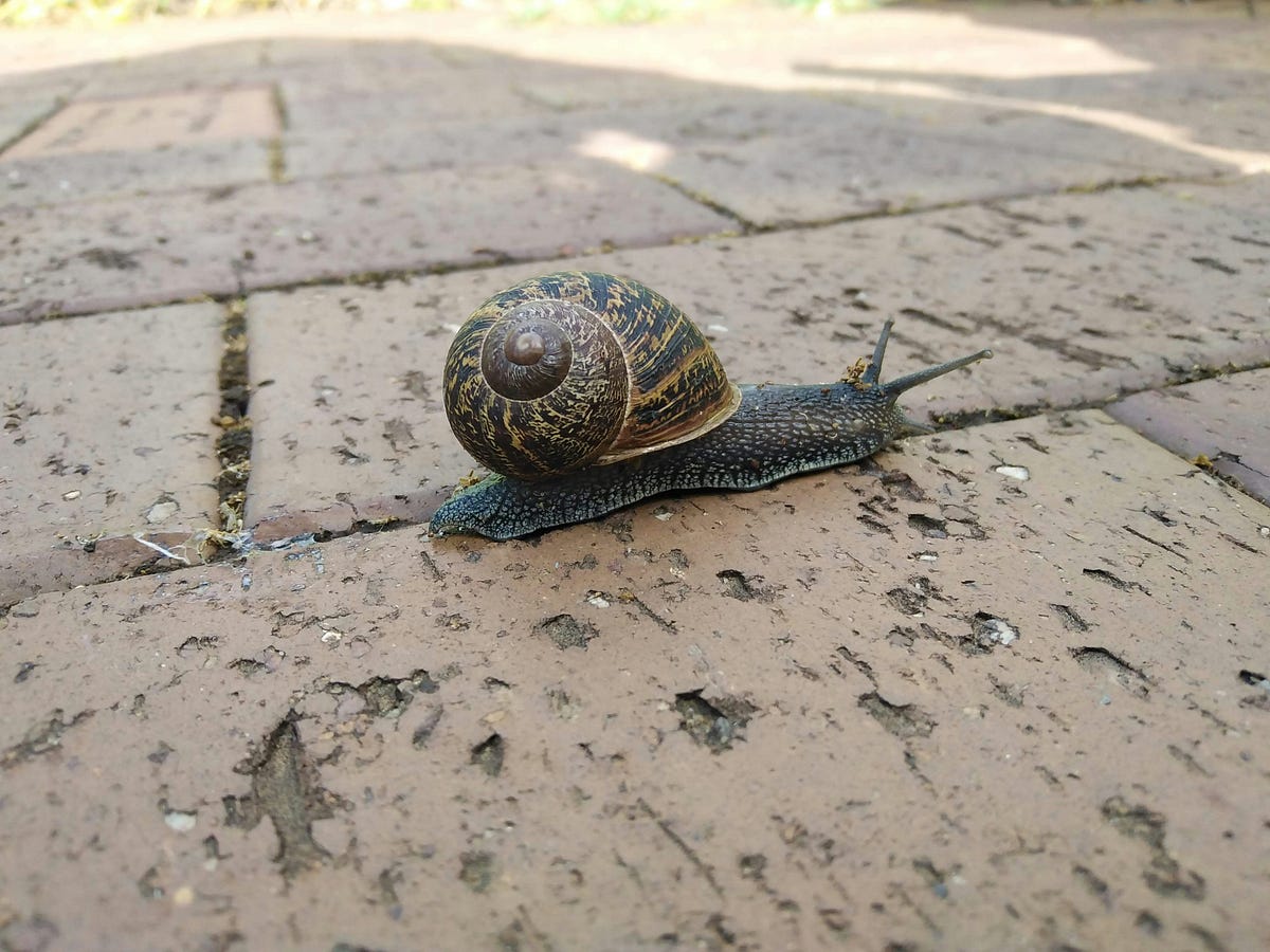 WATCH YOUR STEP. Senryu / Haiku | by Lance Robinson | Dec, 2024 | Medium