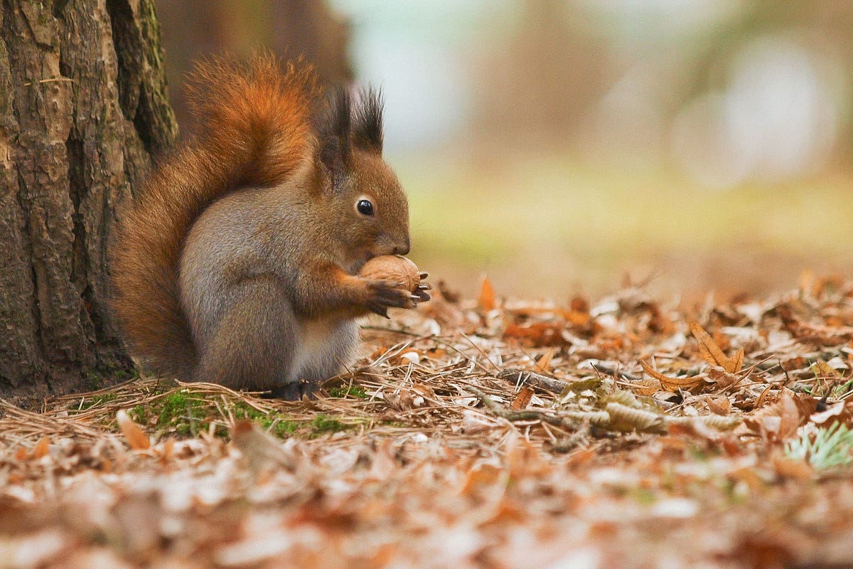 7 things to watch out for after productionalizing Flink jobs | by ...