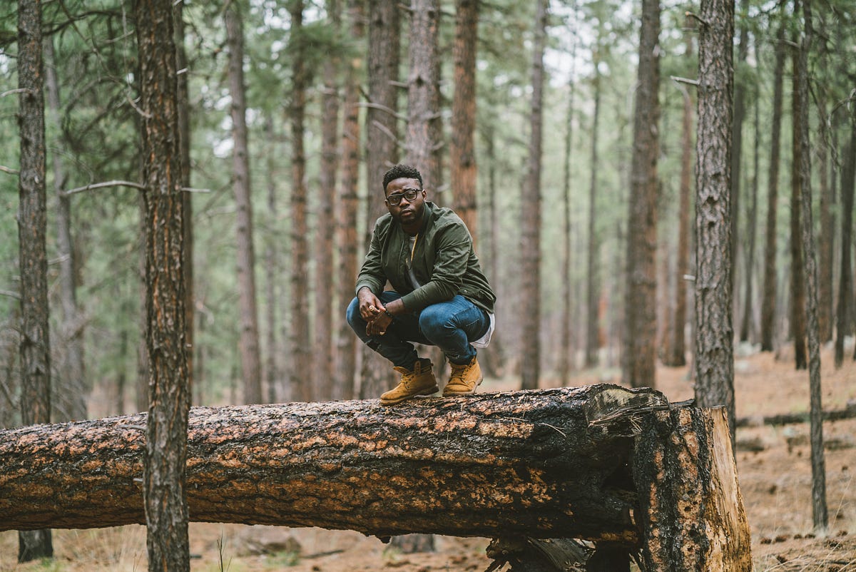“Saving Our Forests: Simple Ways We Can Make a Big Difference” | by ...
