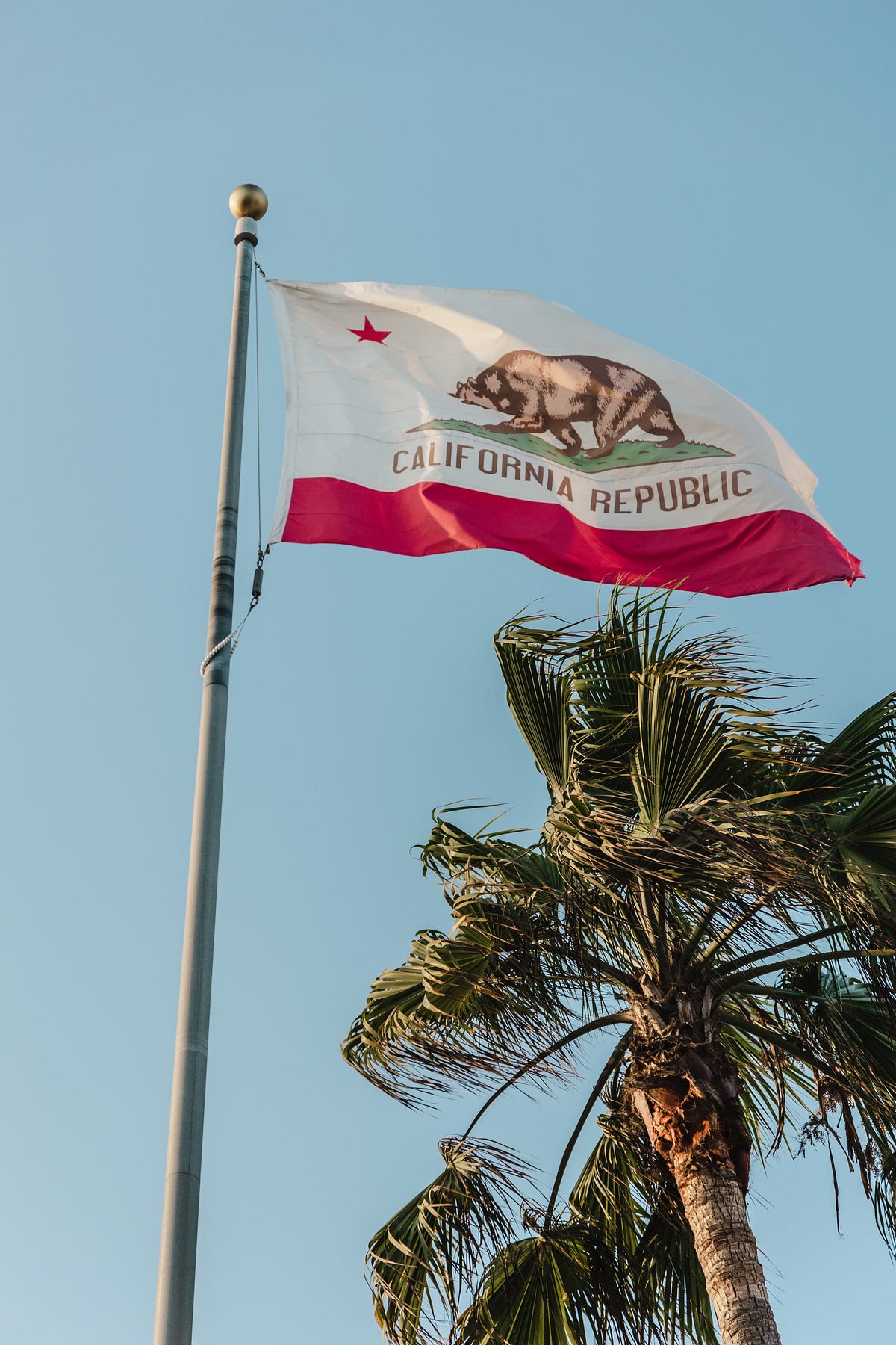 California Republic. The story of the bear flag revolt | by Logan ...