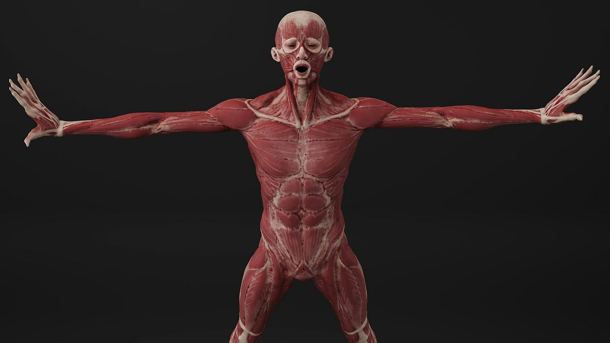 Our Internal Energy Systems are Changing | by Jodie Helm www.asktheangels222.com | Medium