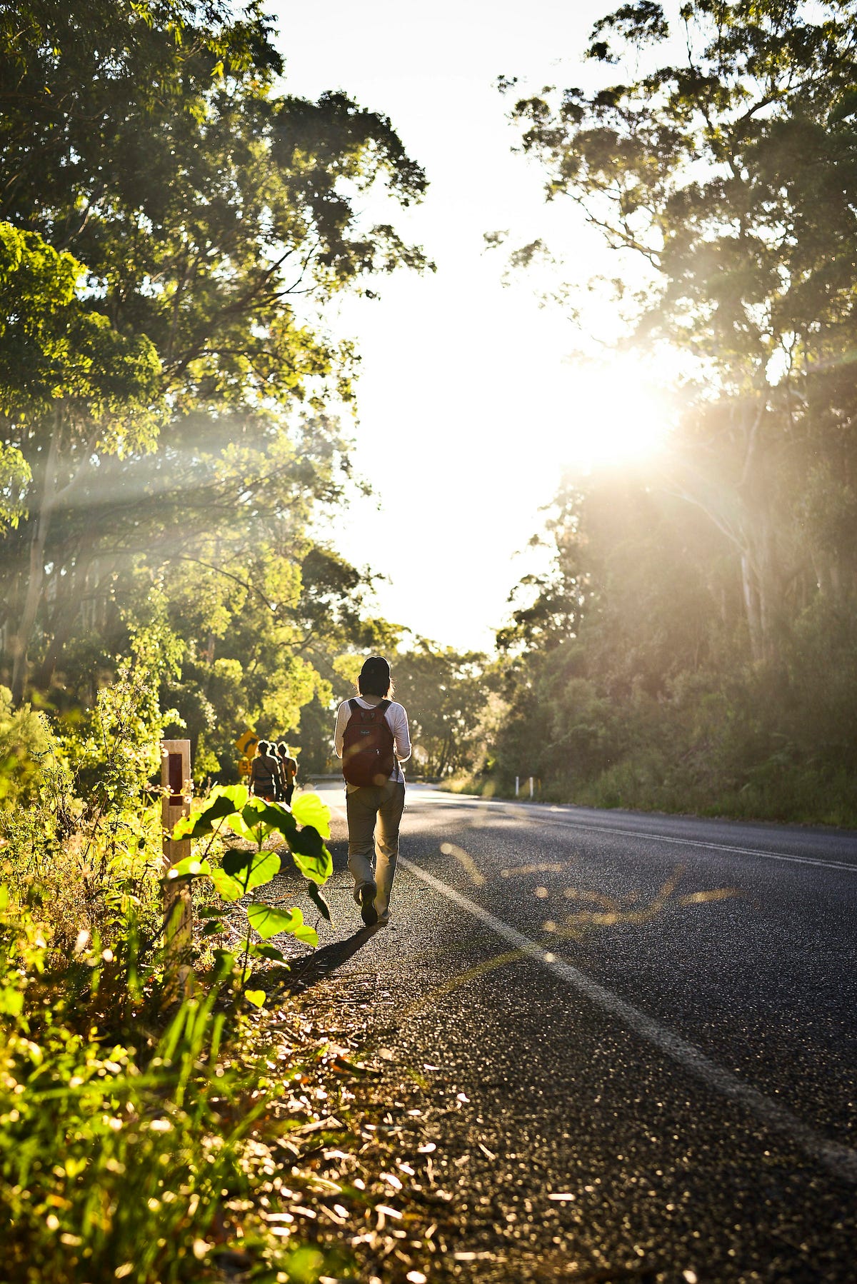 Maximizing Exercise During the Follicular Phase with Cycle Syncing | by ...