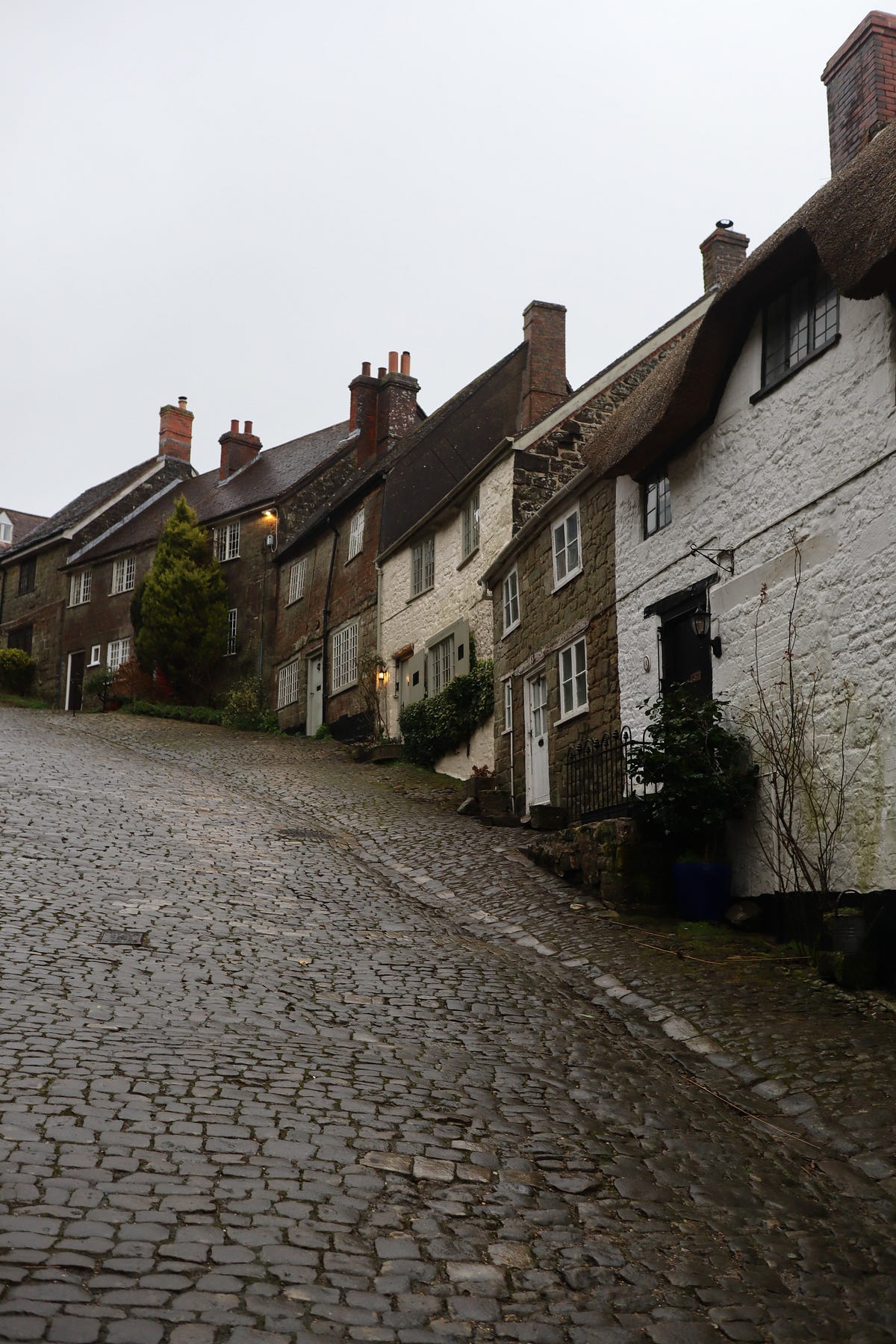 The Enigma of the 1800s Sleeping Sickness: Could History Repeat Itself? | by JESSICA SIMPSON ...