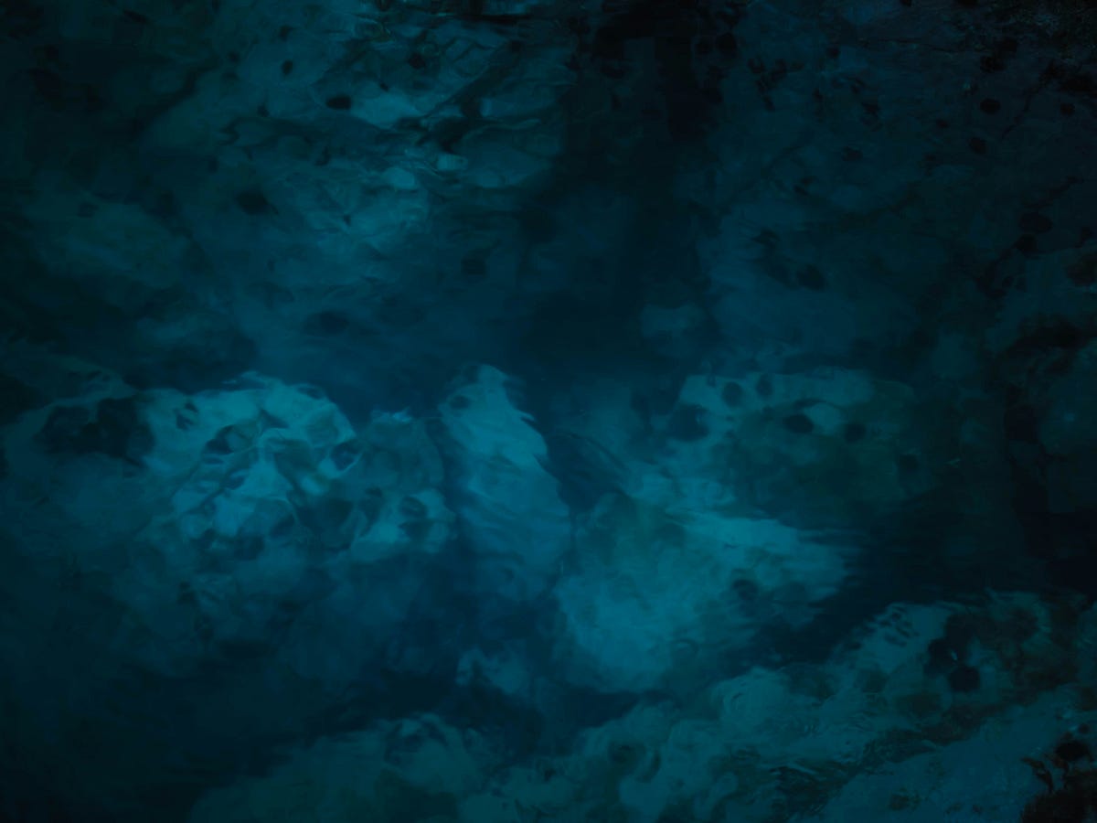 deep sea dreams. saltwater and bubbles | by ishiwi | Dec, 2025 | Medium