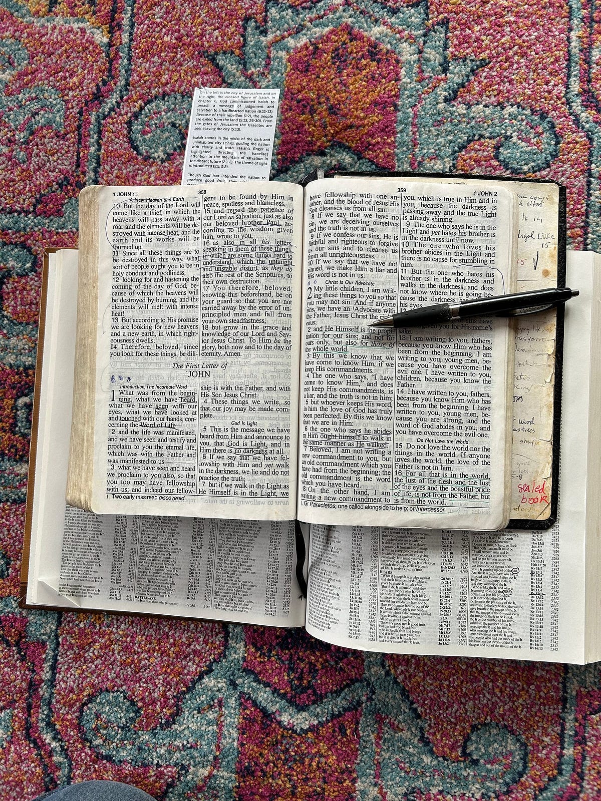 Daniel Eleven. “Those who have insight among the… | by Carey Rowland | Medium