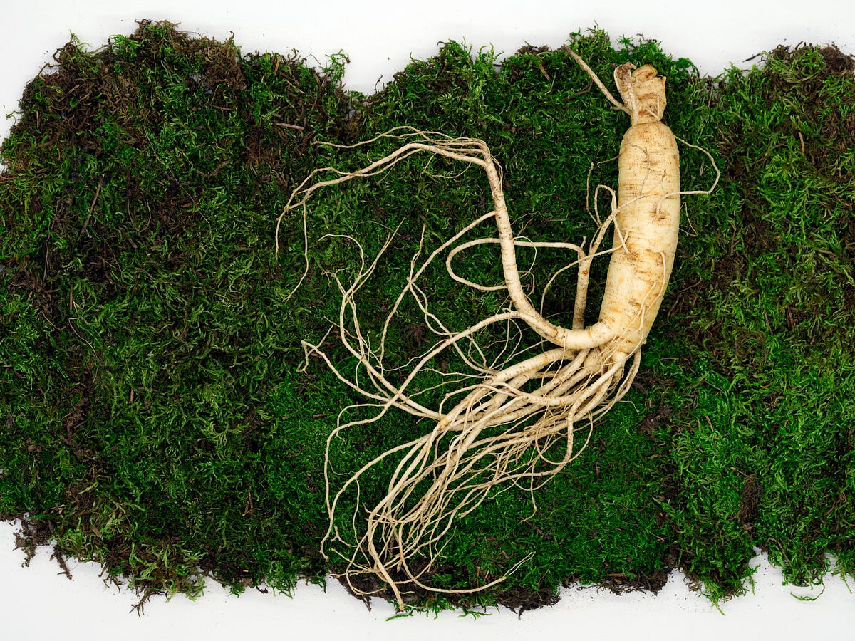 Different types of Ginseng. Red Korean Ginseng or White Korean… | by ...