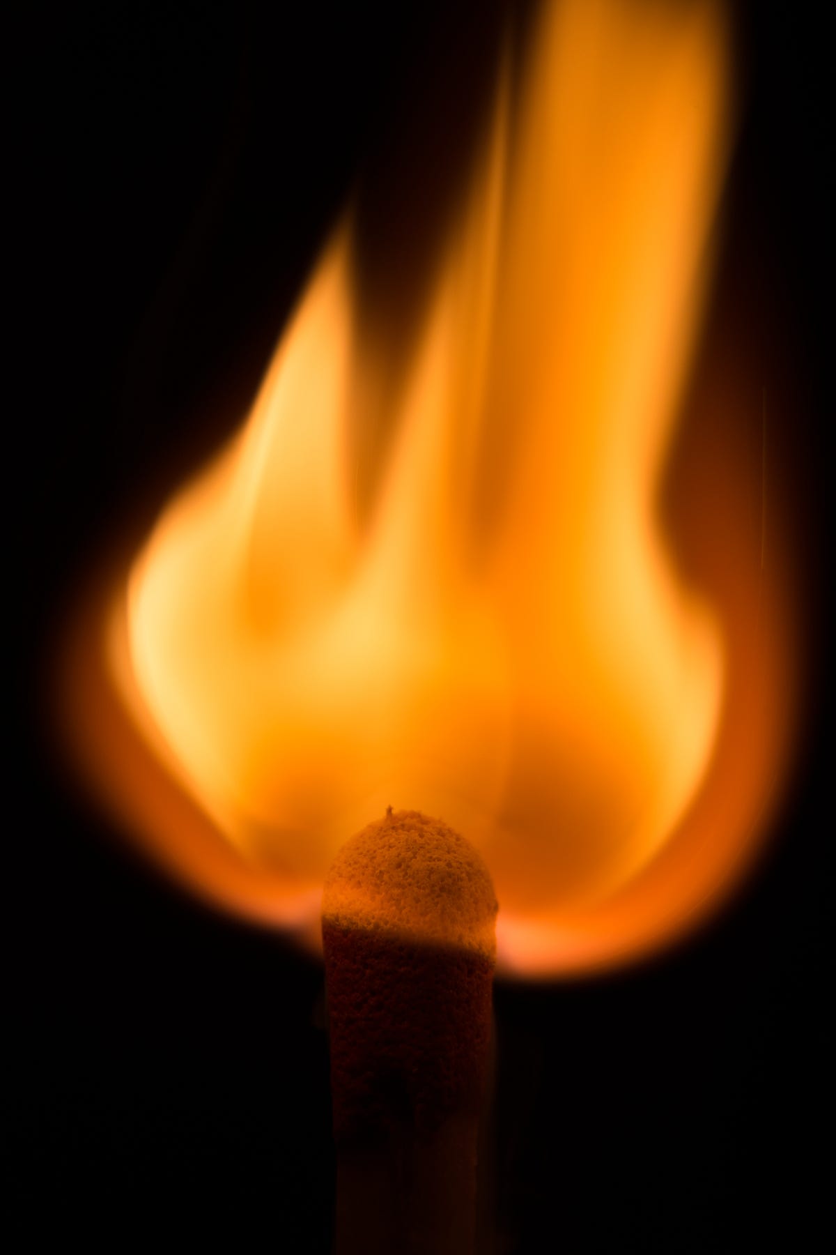When and How To Properly Burn a Bridge (and When Not To) | by Tina L ...