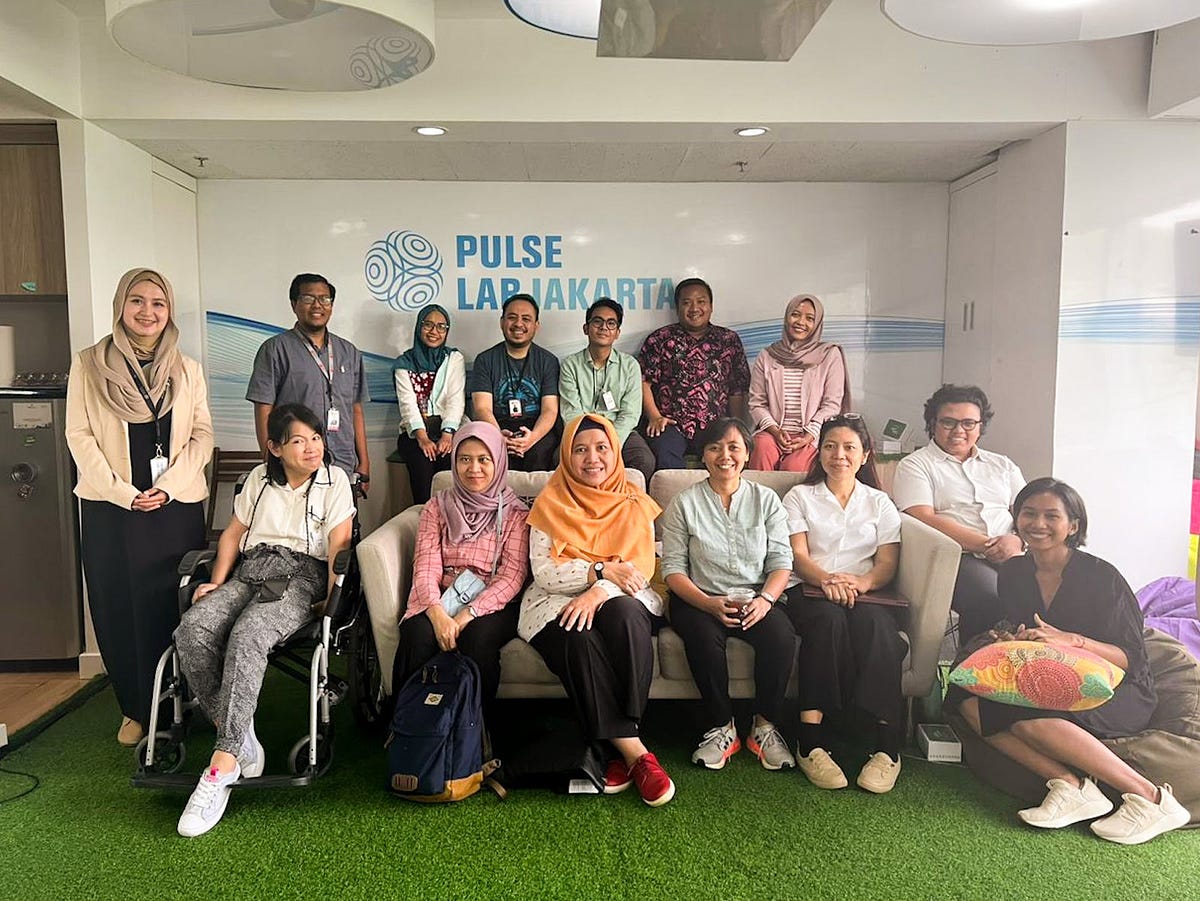 Data Diving to Improve Disability Inclusion | by UN Global Pulse Asia ...