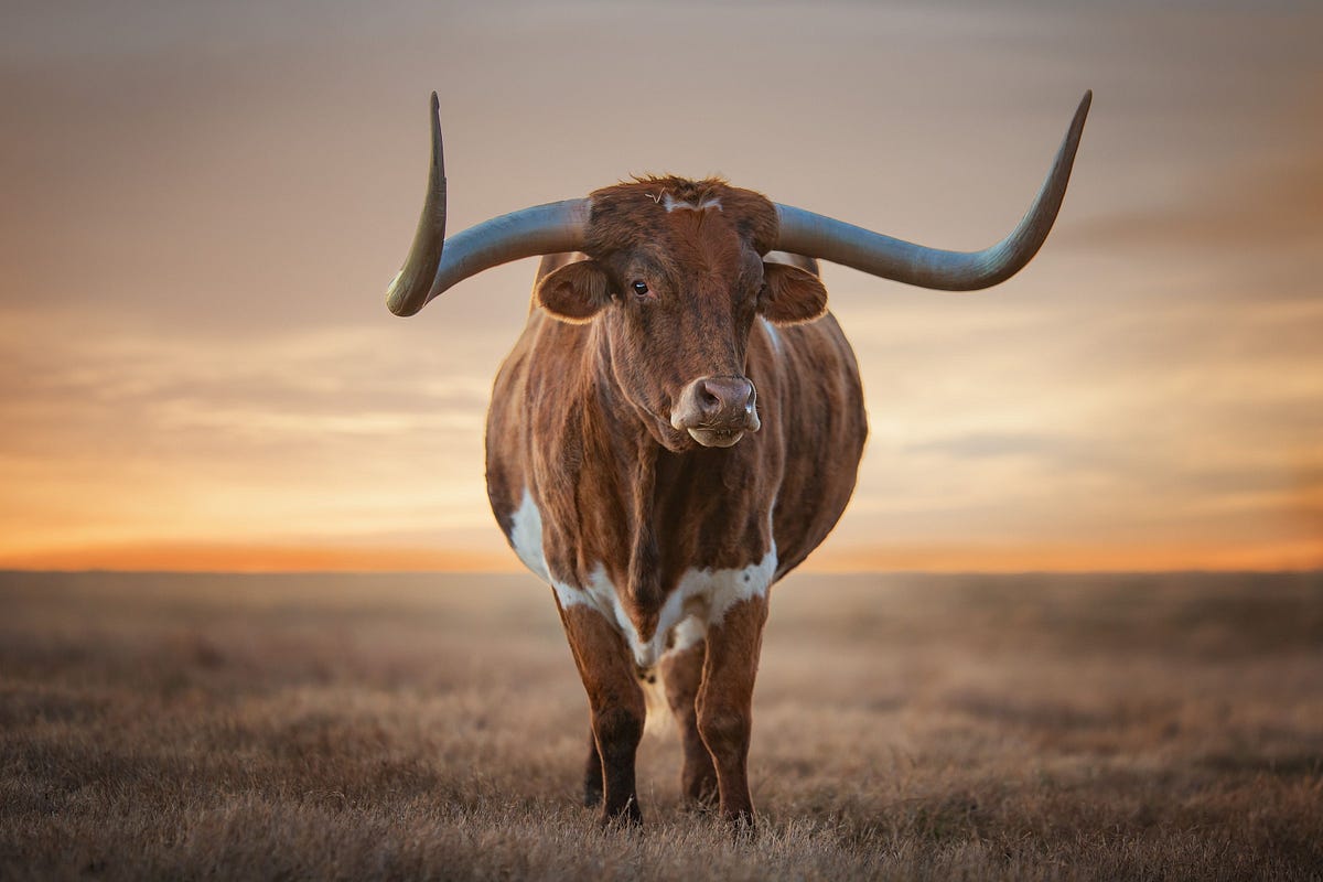 Setting Up and Managing Persistent Volumes with Longhorn in Your ...