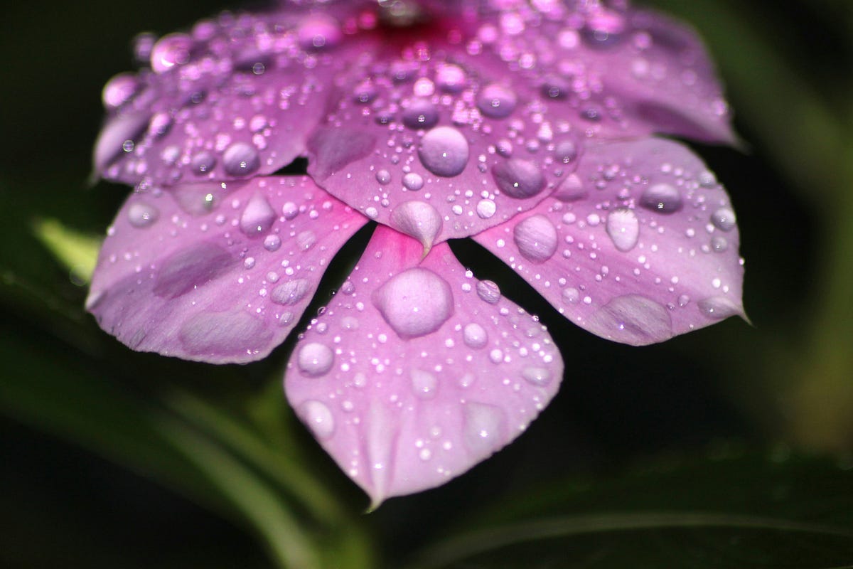 The Fabric of Torn Stars. Tanka Prose | by A.H. Mehr | Write Under the Moon | Medium