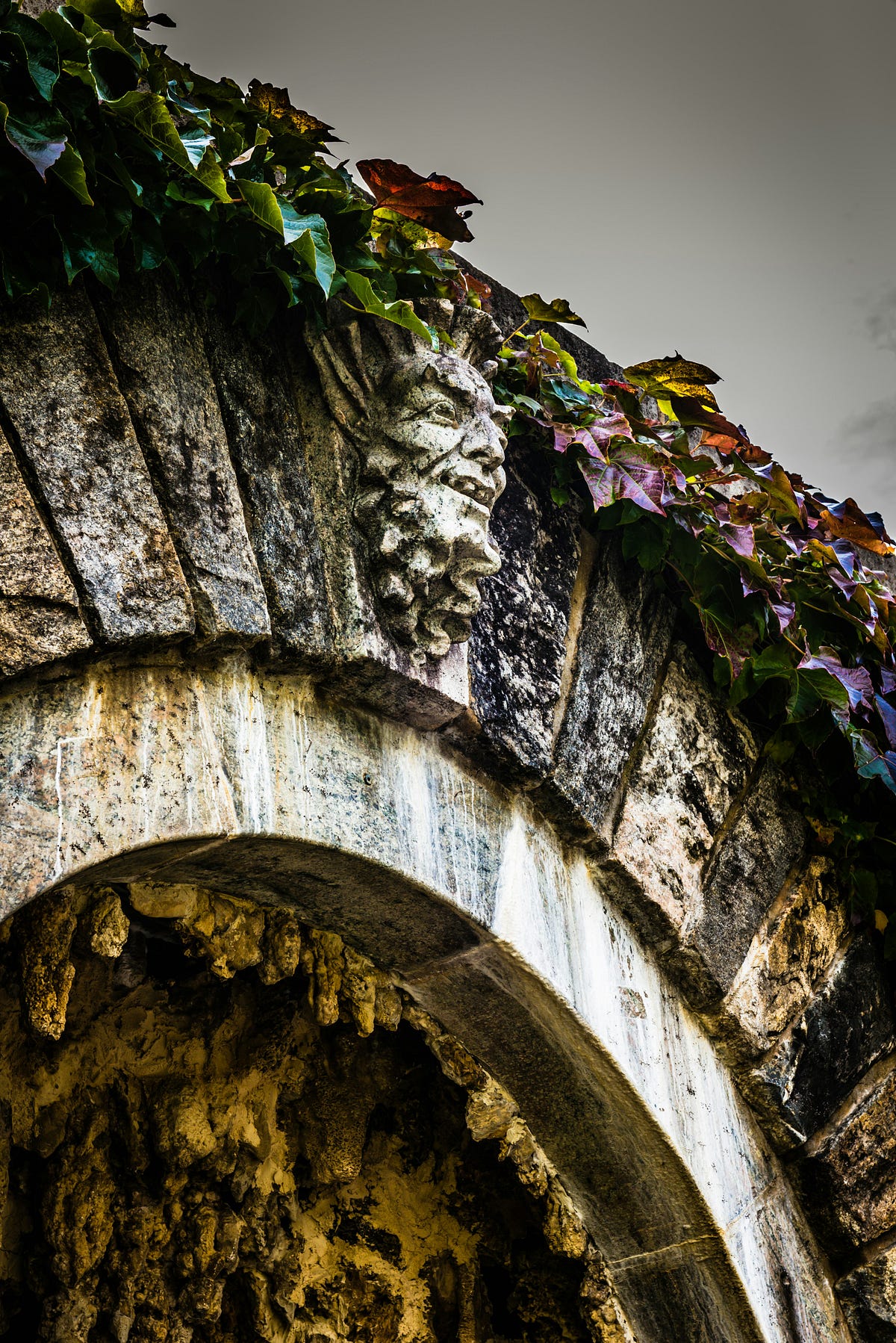 Hollow: A poem written from a one-word prompt. | by Trevor Ness | Feb ...