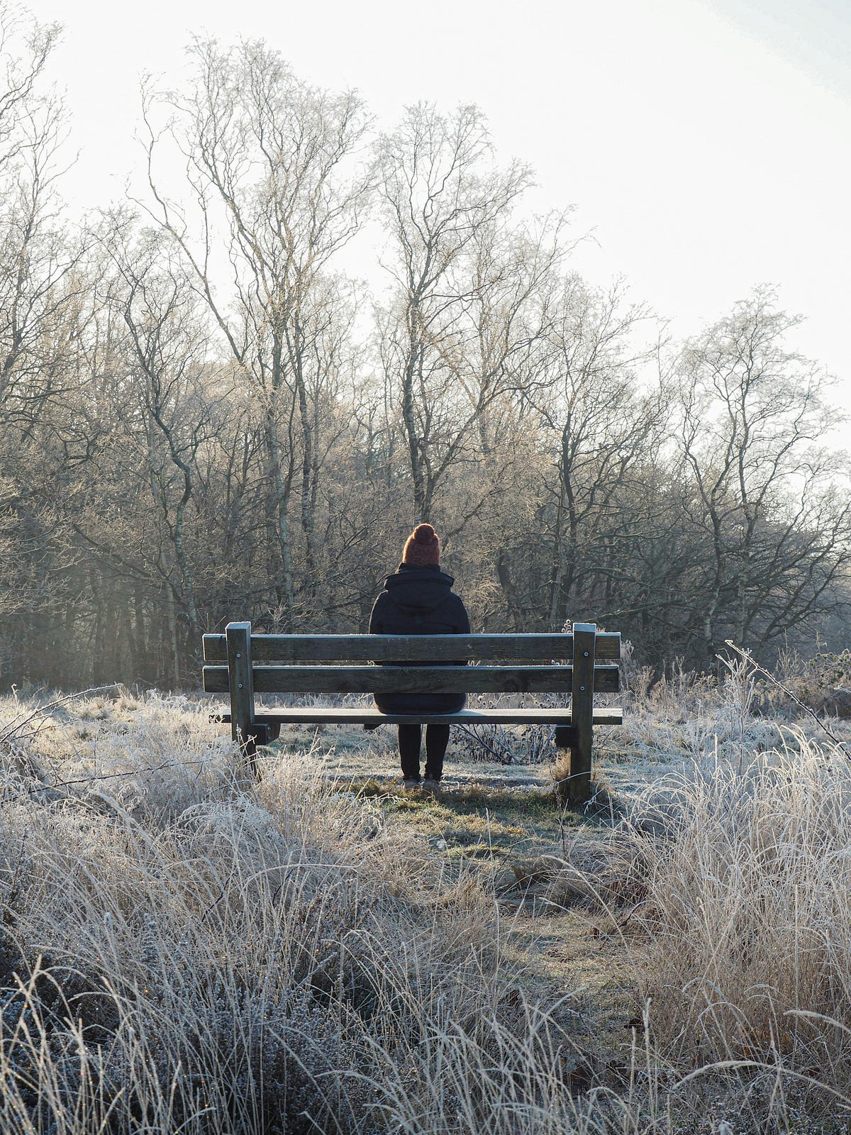 A Search Beneath The Noise. This poem neither answers your queries ...