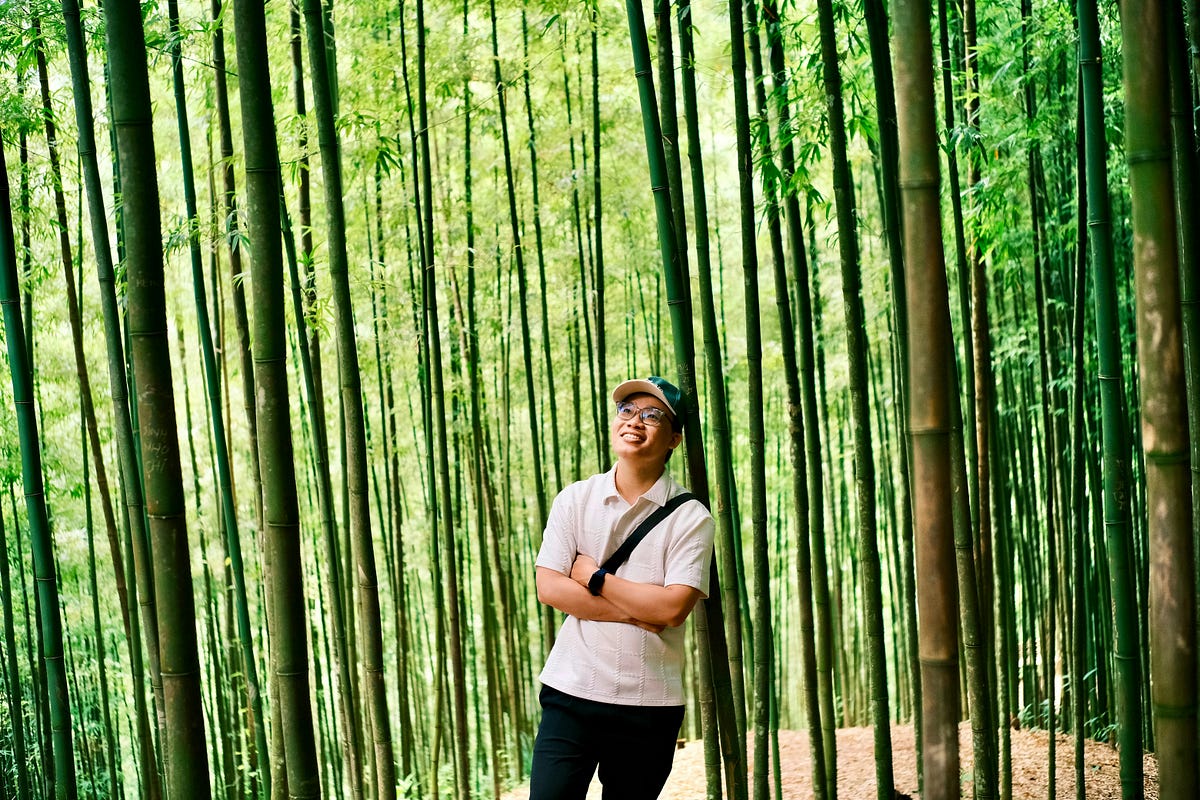 The Bamboo Lesson Every Educator Needs | by Dr. P. K. Roy | Write A ...