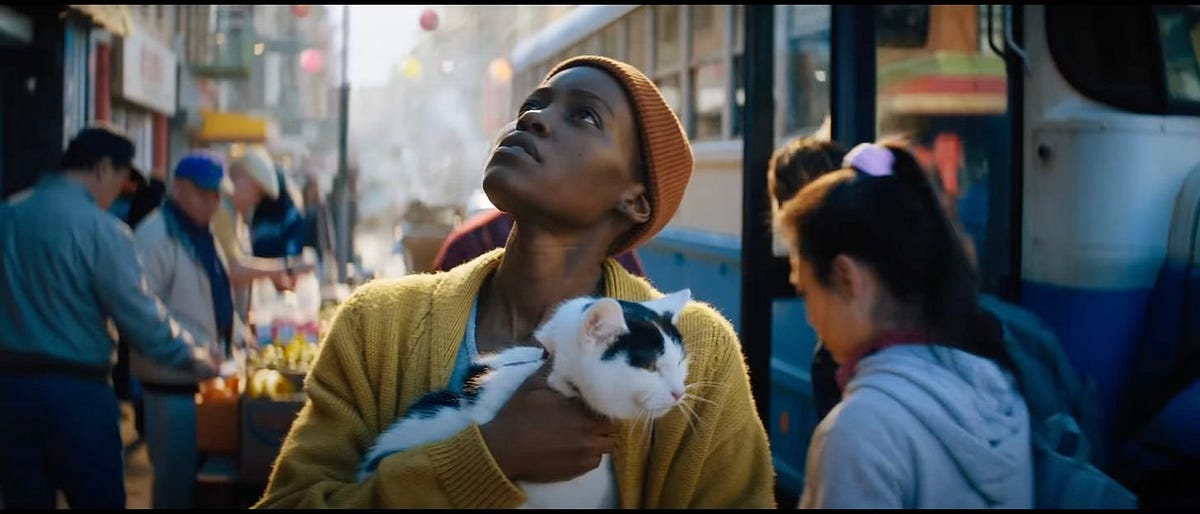 Camus e Um Lugar Silencioso: Dia Um. — Aprender a viver, saber morrer. | by Felipe Monteiro | Medium