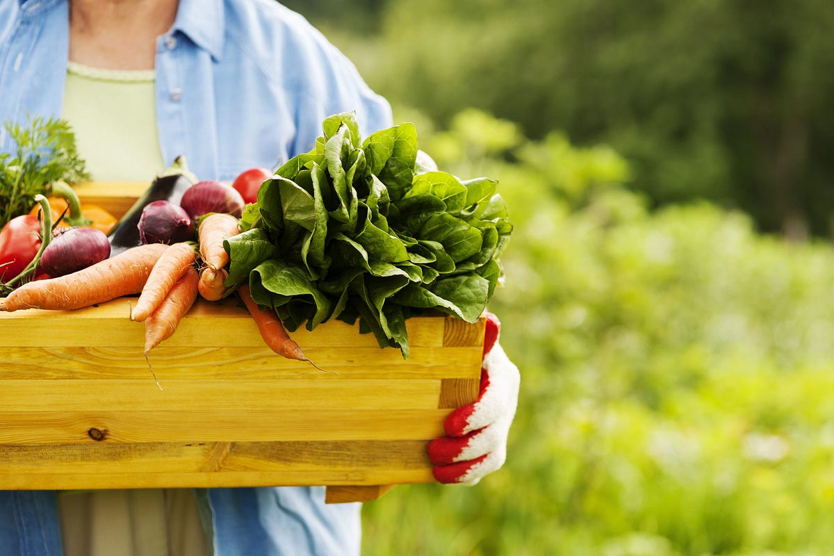 How to Grow Organic Food?. Growing organic food is a rewarding way ...