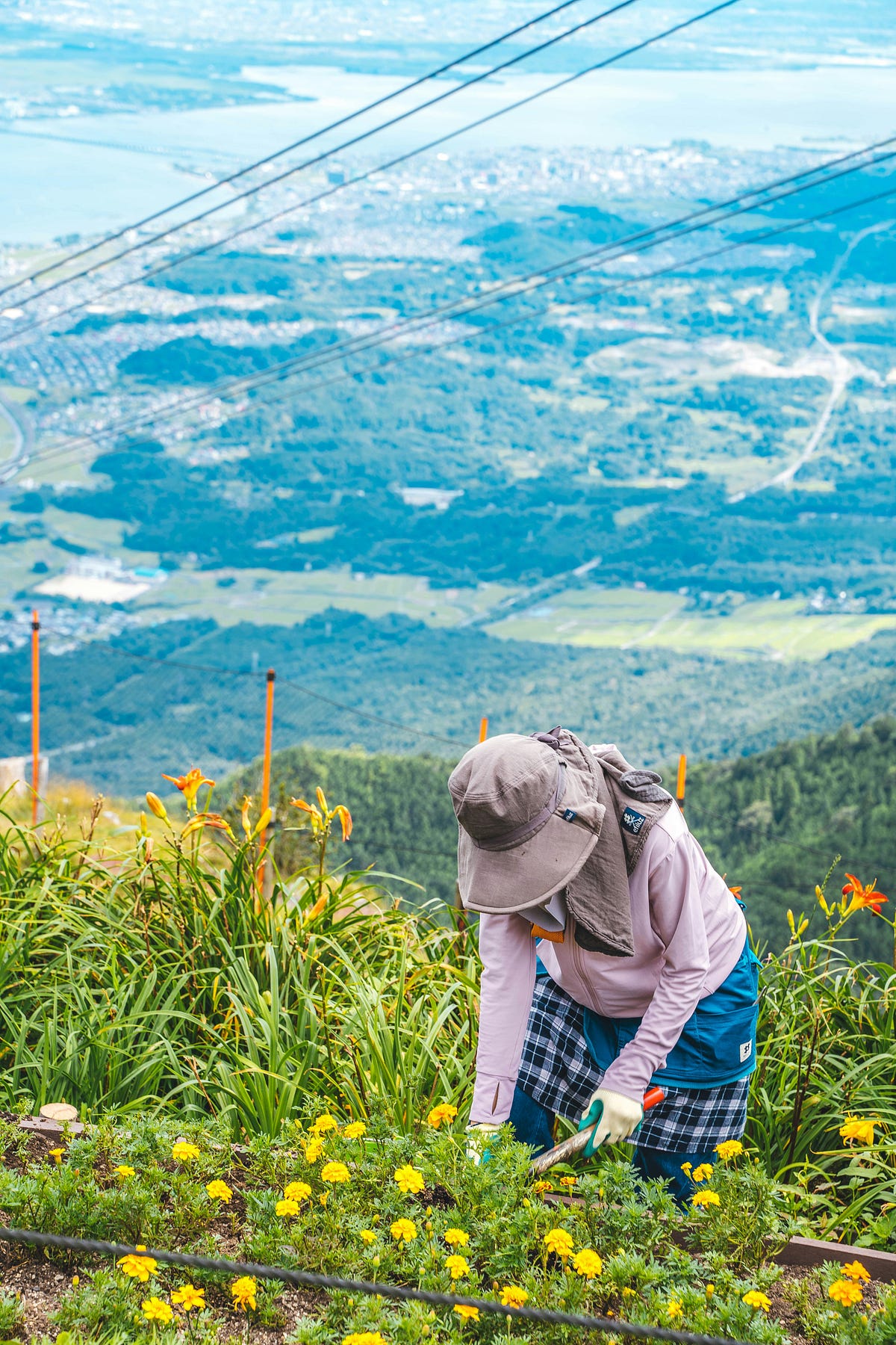 How to Come to Japan?. It’s Easier Than You Think! | by Purna Lal Chakma | Tokyo Tourists | Medium