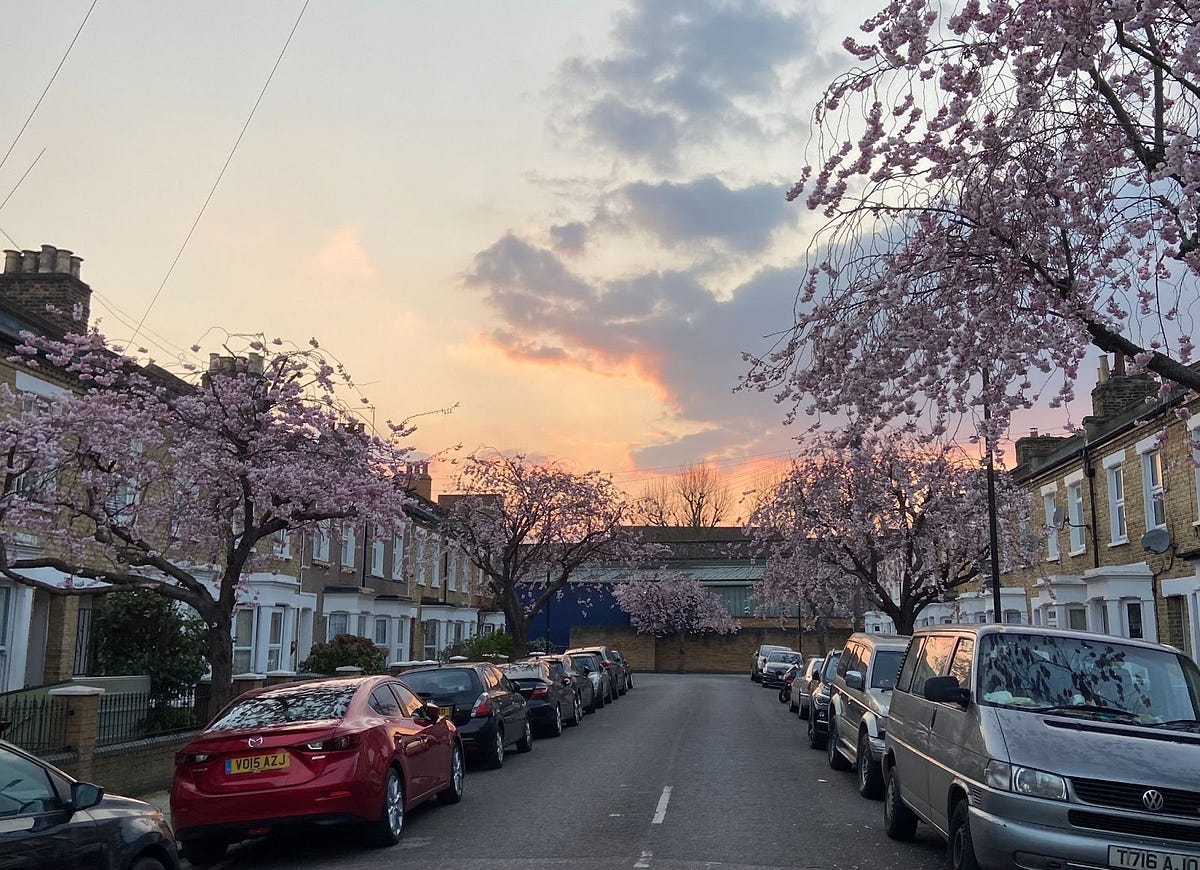 First Five with Joe Tansey. A series where we get to know people… | by ...