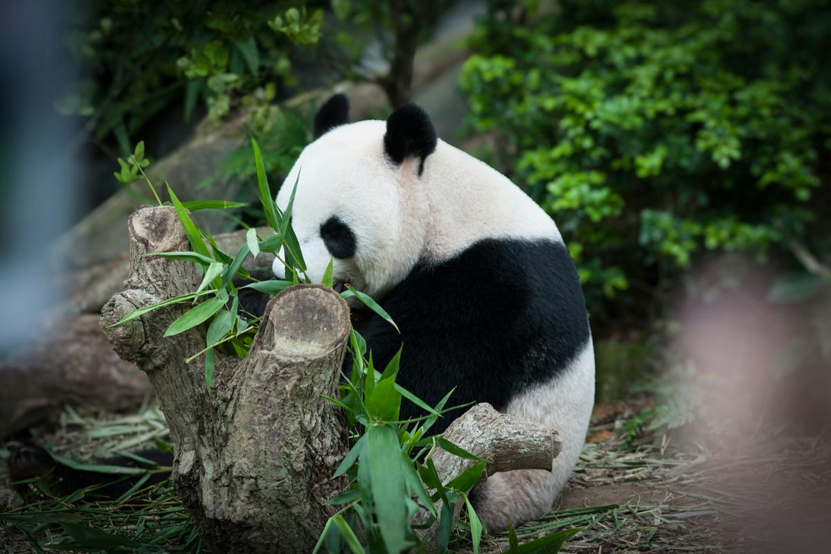 Data manipulation with Pandas. Pandas is a powerful and flexible data ...