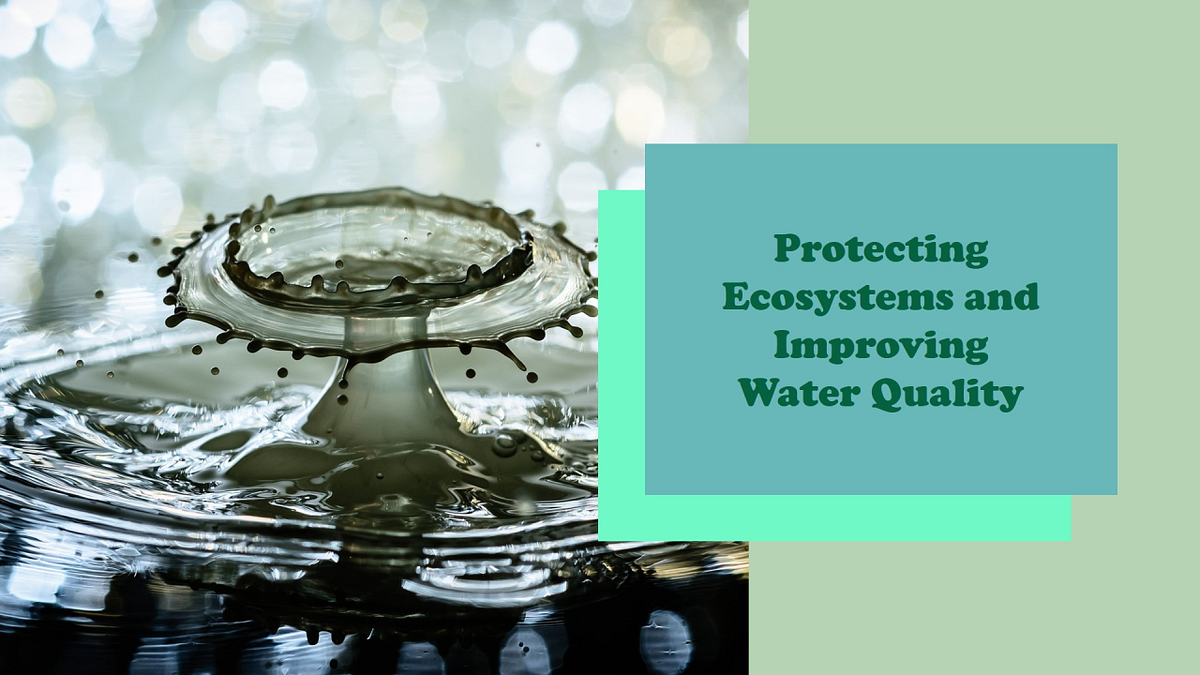 Coastal Water Management and Nature-Based Solutions: Protecting Ecosystems and Improving Water ...