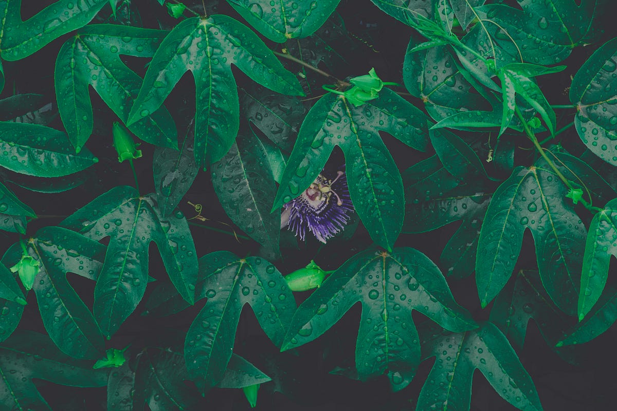 The Hidden Cost of Being the “Flexible One” at Work | by 👋 Gina Young ...