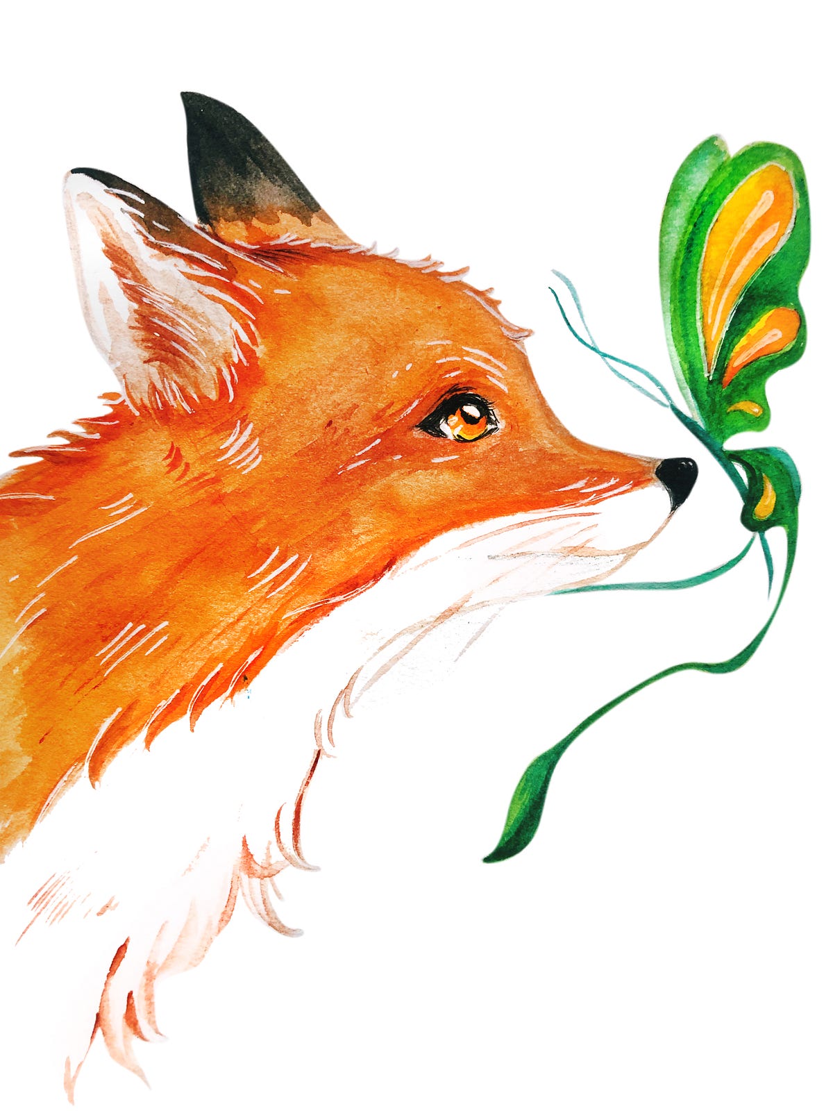 Beautiful Moments with a Fox. Do you have the right perspective? | by Tracey A Ferrant | Medium