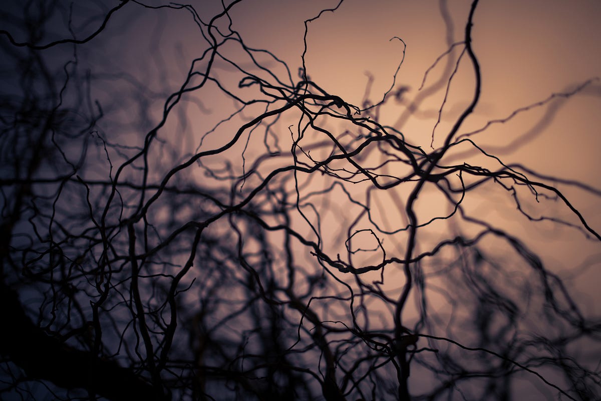 The Index And The Fund: Swimming The Sensex | by Souvik Mitra | Medium