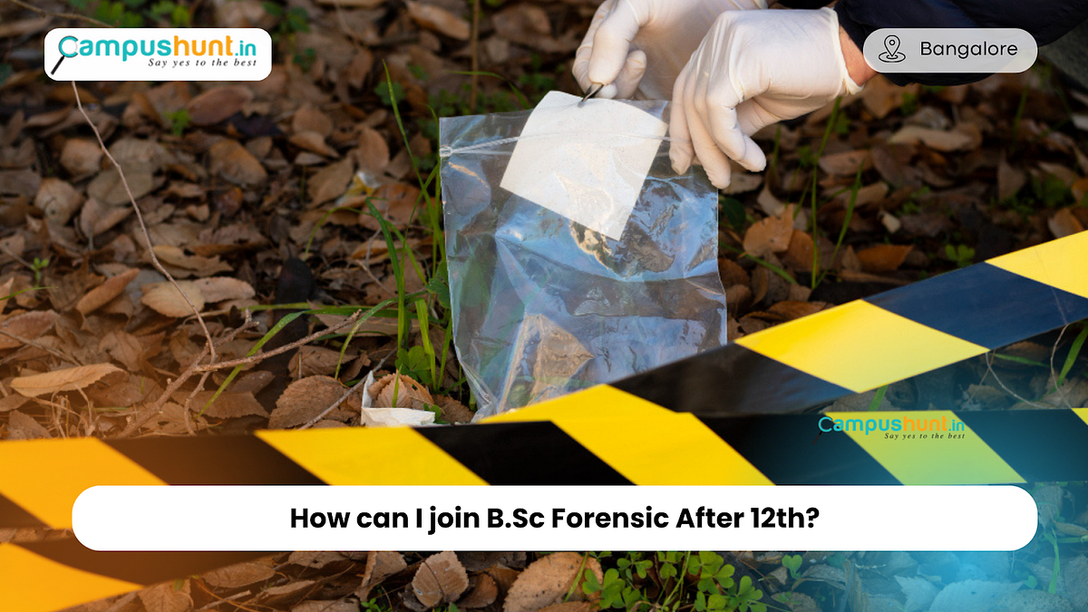 How can I join Bsc forensic Science after 12th? | by Ashwiniashu | May ...