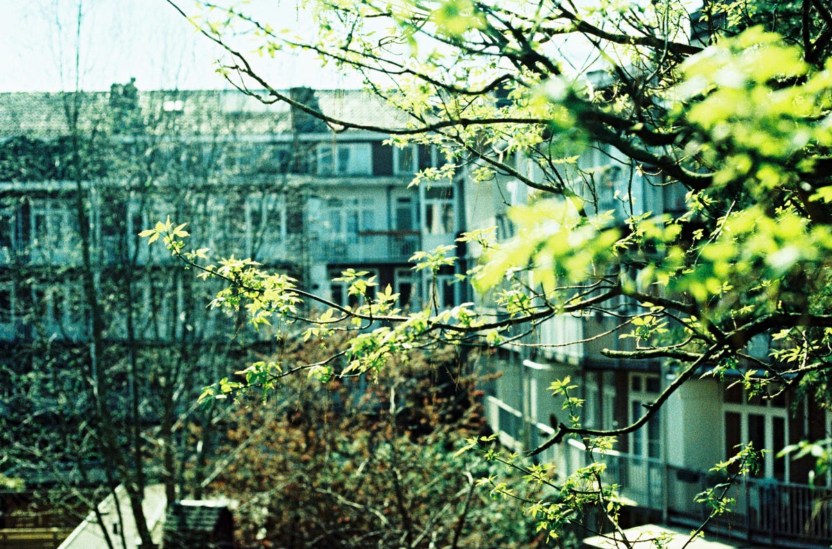 Forget Home Ownership — Apartment Life Can Be Magical | by Kathleen ...
