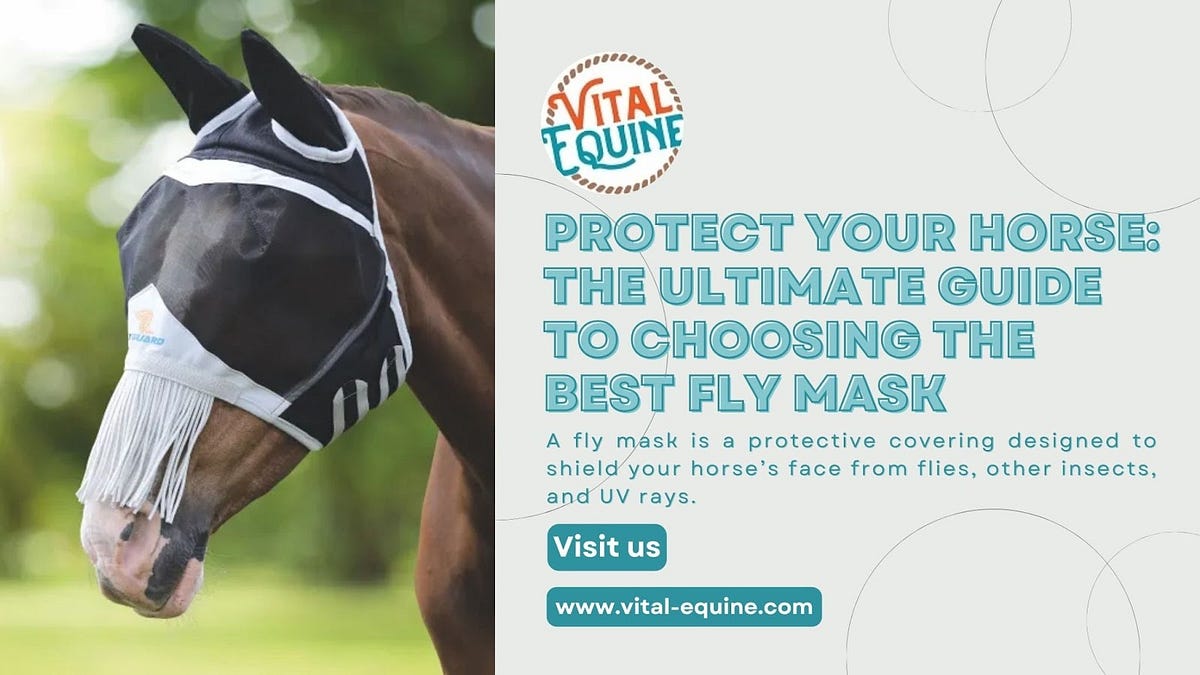 Protect Your Horse: The Ultimate Guide to Choosing the Best Fly Mask ...