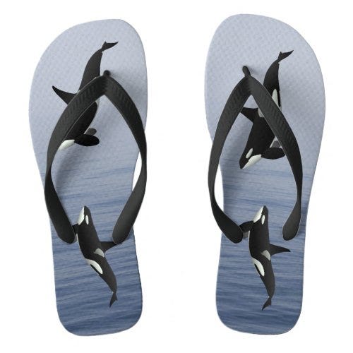 Dive into Coolness: A Review of Killer Whale Flip Flops | by Tozanba ...