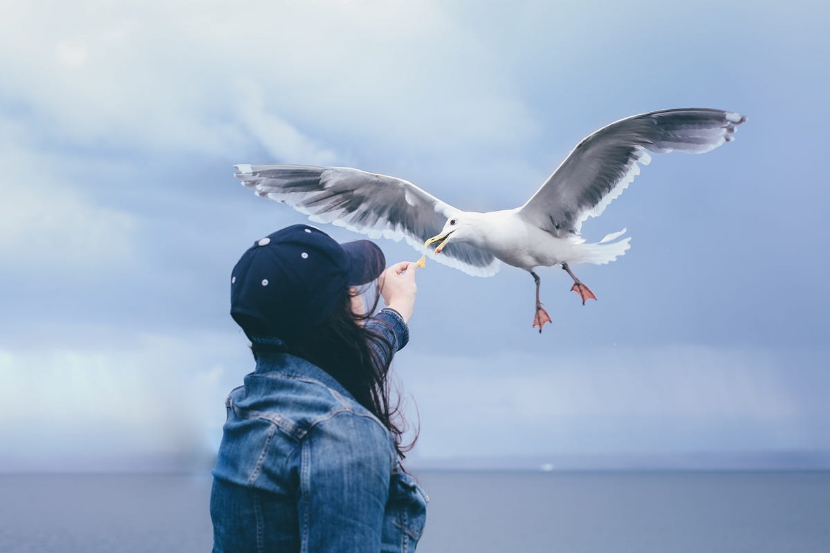 Mysticism and Spiritual Wisdom: Two Wings of my Soaring Soul | by ...