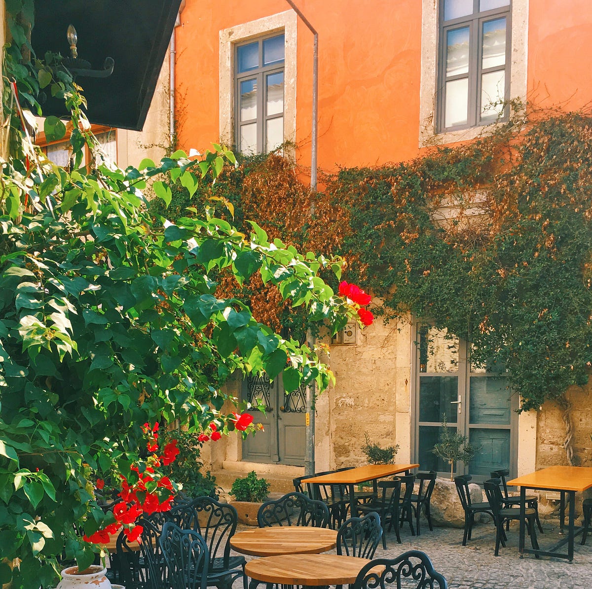 Who’s On First, As Written By Emily St. John Mandel | by Johnny LaZebnik | Medium