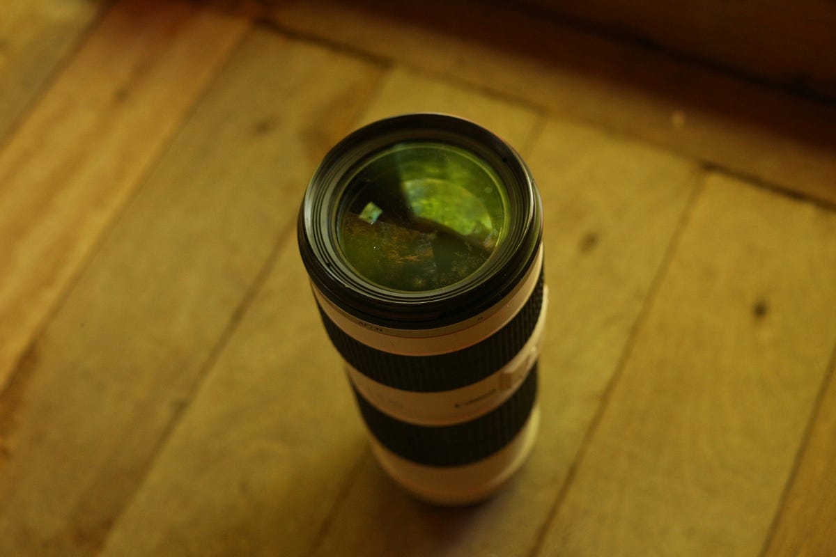 How to Avoid Camera Lens Fungus Guide Prevention Tips for Clean, Clear ...