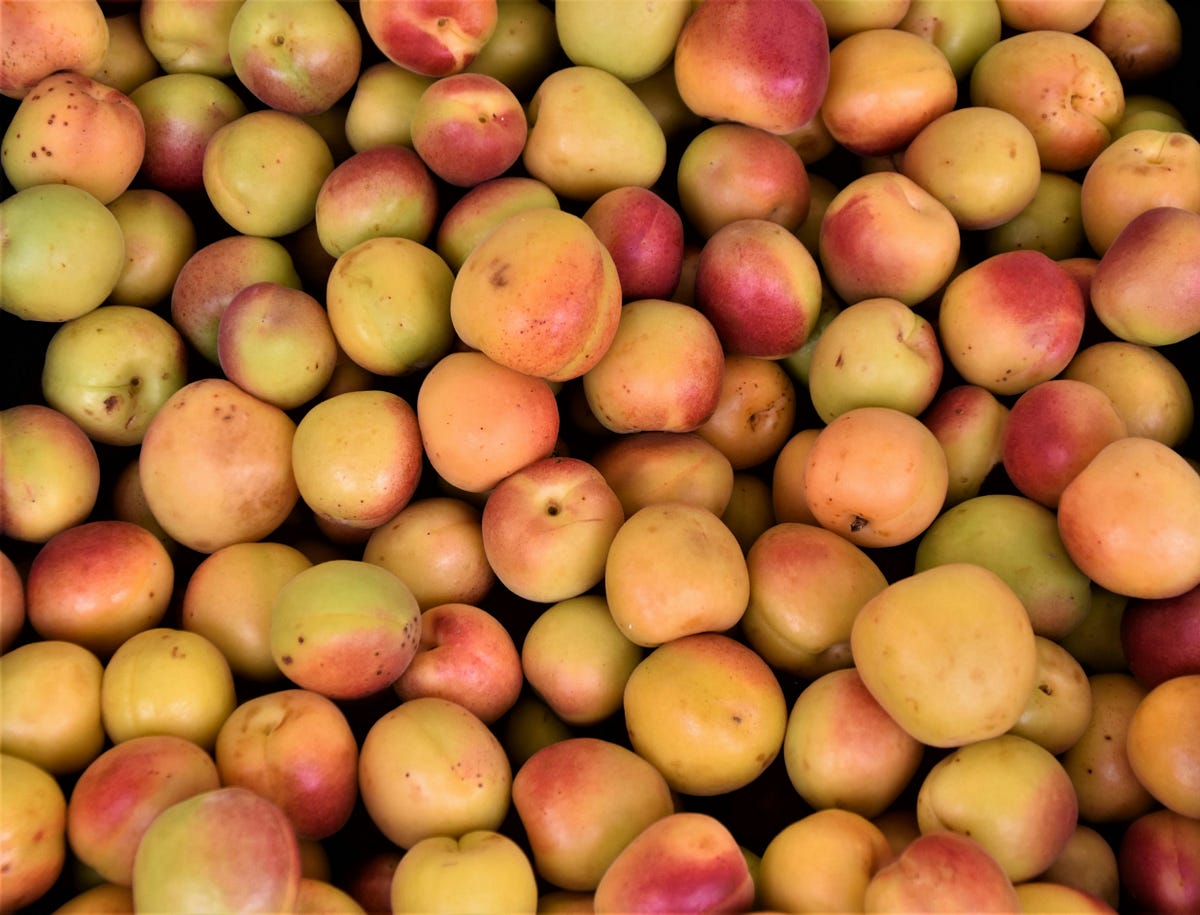 Fruit Classification and Segmentation | by Kkobrien | Medium