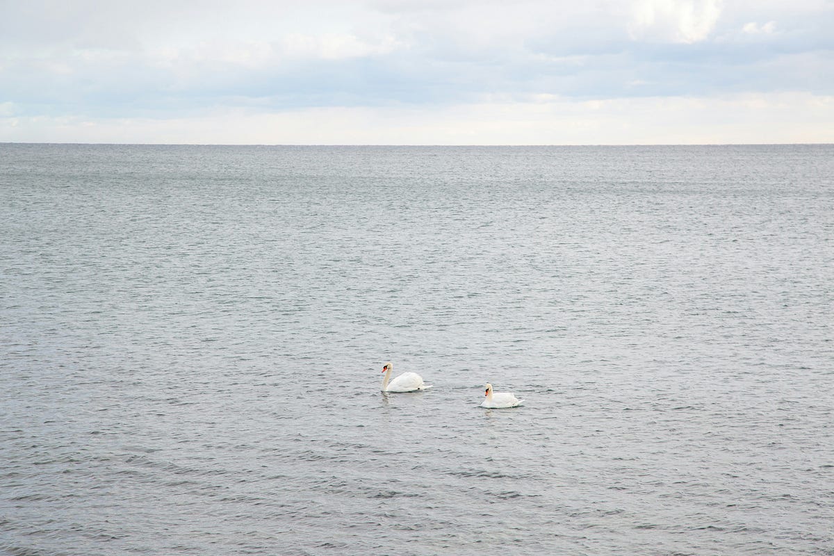 Jika harapan itu ada, aku ingin ‘kita’ saja. | by juneya | Mar, 2025 ...