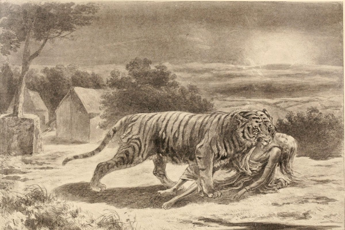 The Tragic Story Of The Tiger That Killed More Than 400 People | by Sal ...