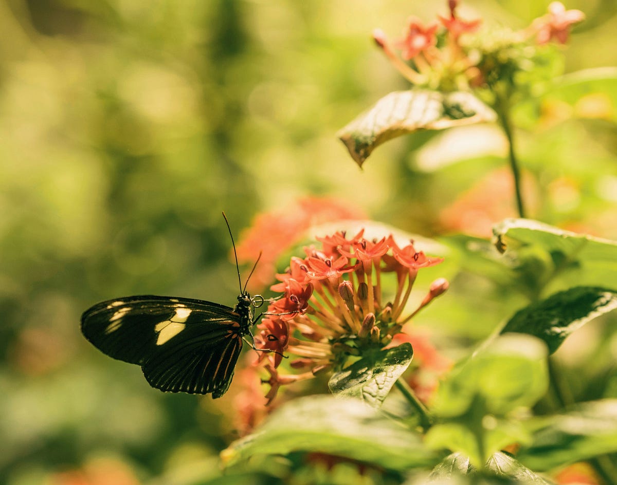 Life Is So Unpredictable. Are We Embracing Change with Open… | by Sonia ...