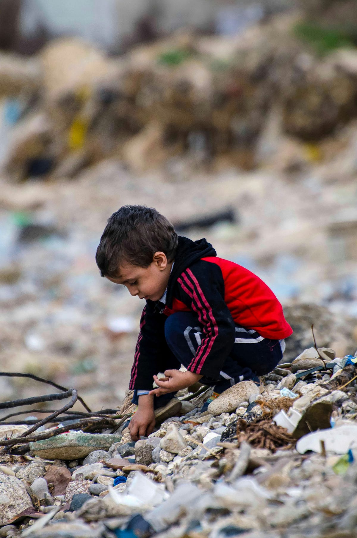 Praying for Palestine: A Moment of Truth in Bible Study. | by Freda Savahl | Jan, 2026 | Medium