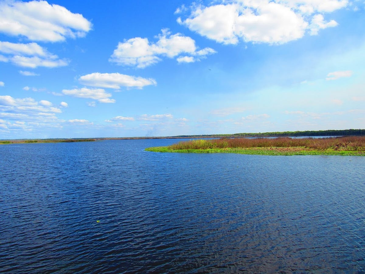 Blue Power - Dennett - Medium