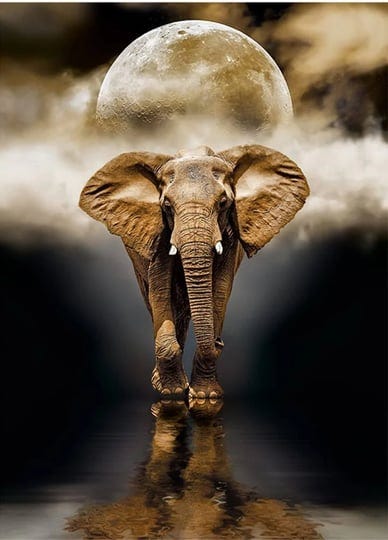 Elephant Prints | by Grant Chambers | Jul, 2024 | Medium