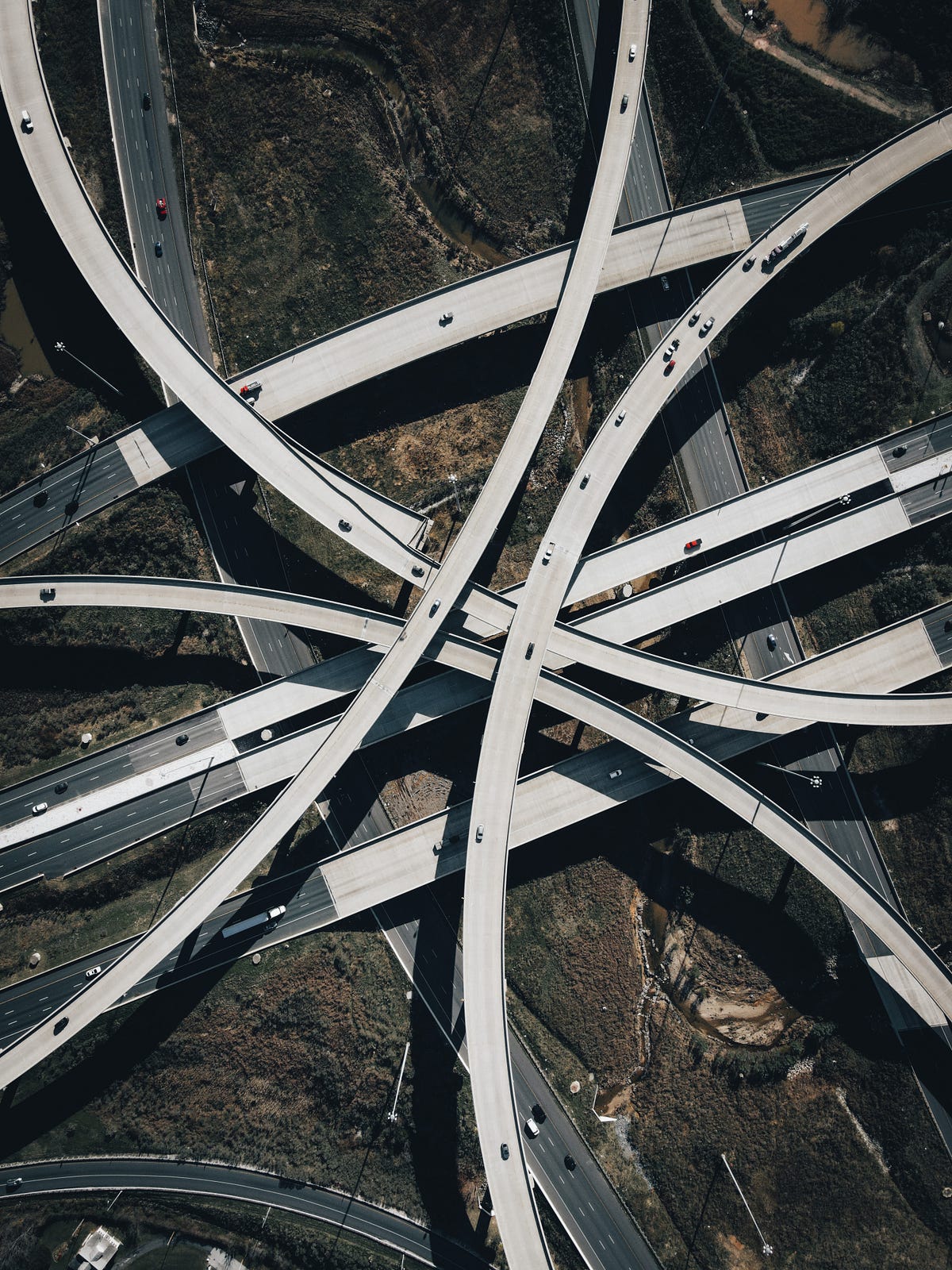 The Dig - 2-Bite Stories - Medium