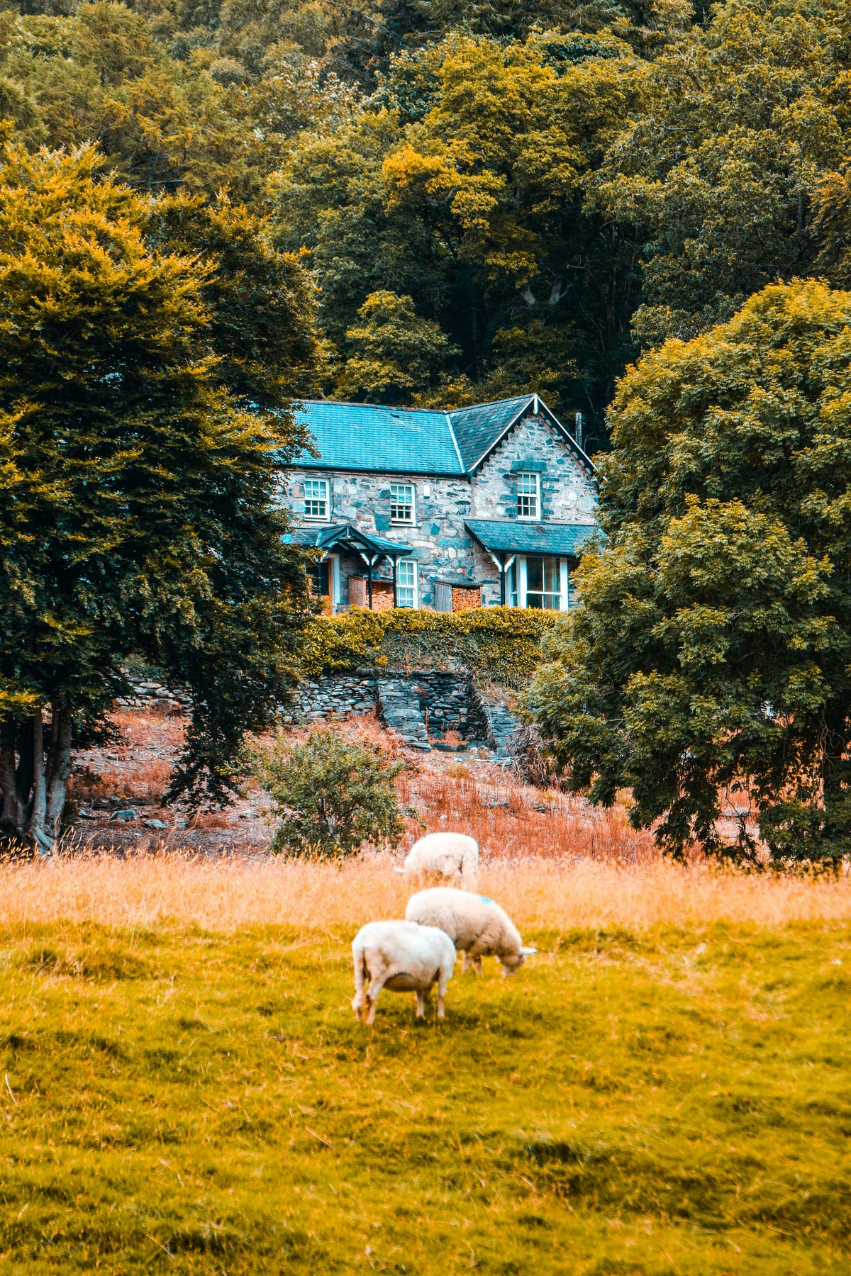 From Blorenge’s Peaks to Poetic Feats: Embracing the Whimsy of Rhyming ...