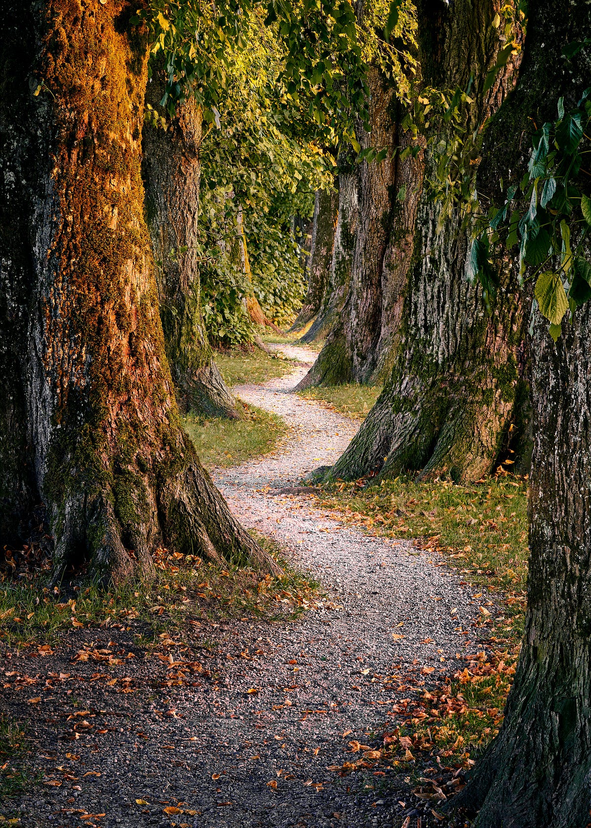 This is life. Between silence and hope, we ask how to… | by Kinza | ILLUMINATION | Sep, 2025 ...