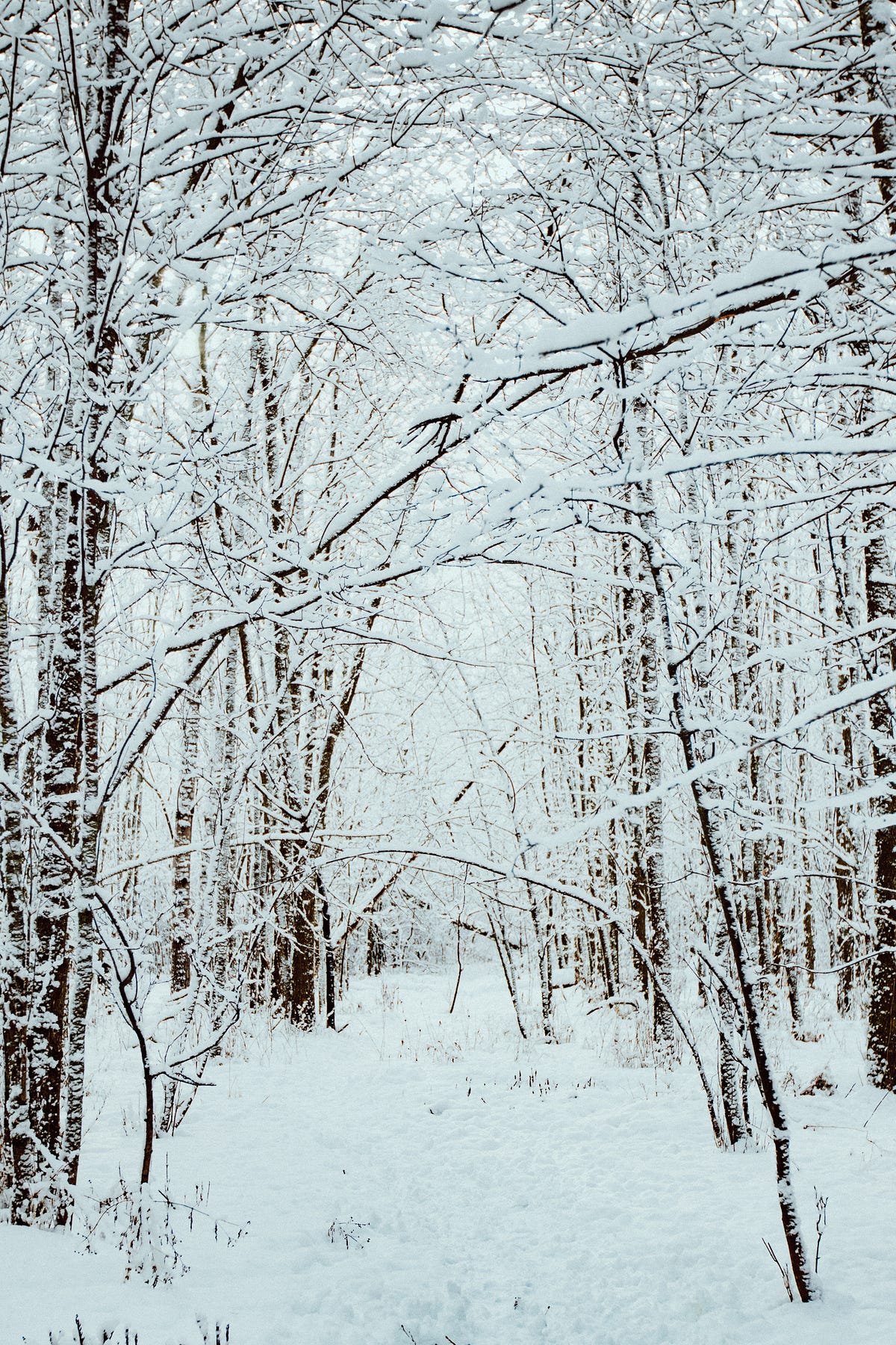 The Blessings of the Winter Season | by Erica Donaldson-Ellison ...
