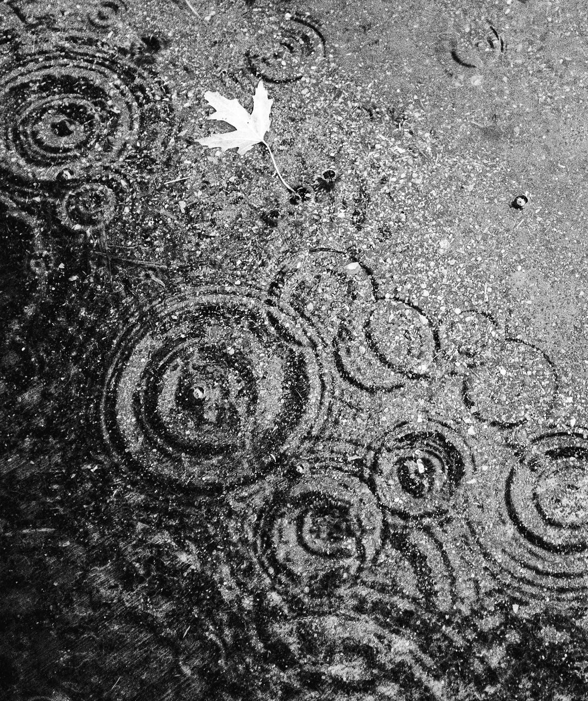 Rain, stop!. I struggled to stay awake as "Pastor"… | by Yemi Adefidipe | Mar, 2025 | Medium