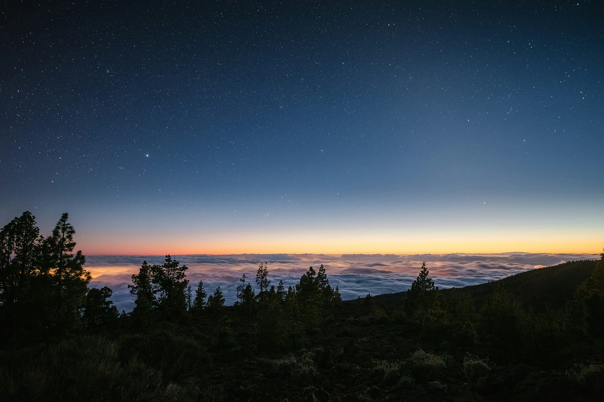 It’s too late - Ellie Jane - Medium