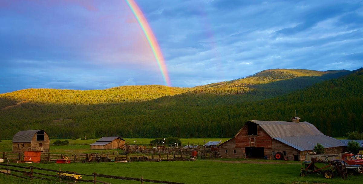 Idaho Travel Guide 2025. Your Go-To Guide for Idaho Adventuring | by ...