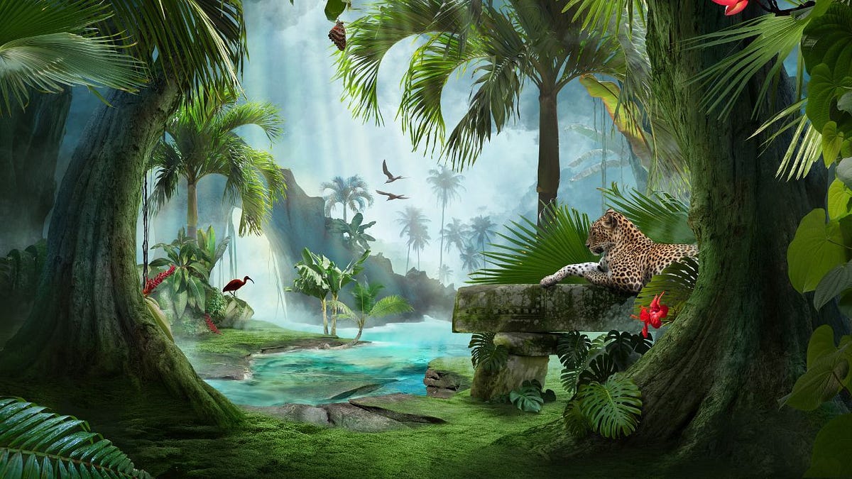 A Jungle Heart. In the mind-body-spirit vernacular, the… | by Bear McKay | Jun, 2024 | Medium