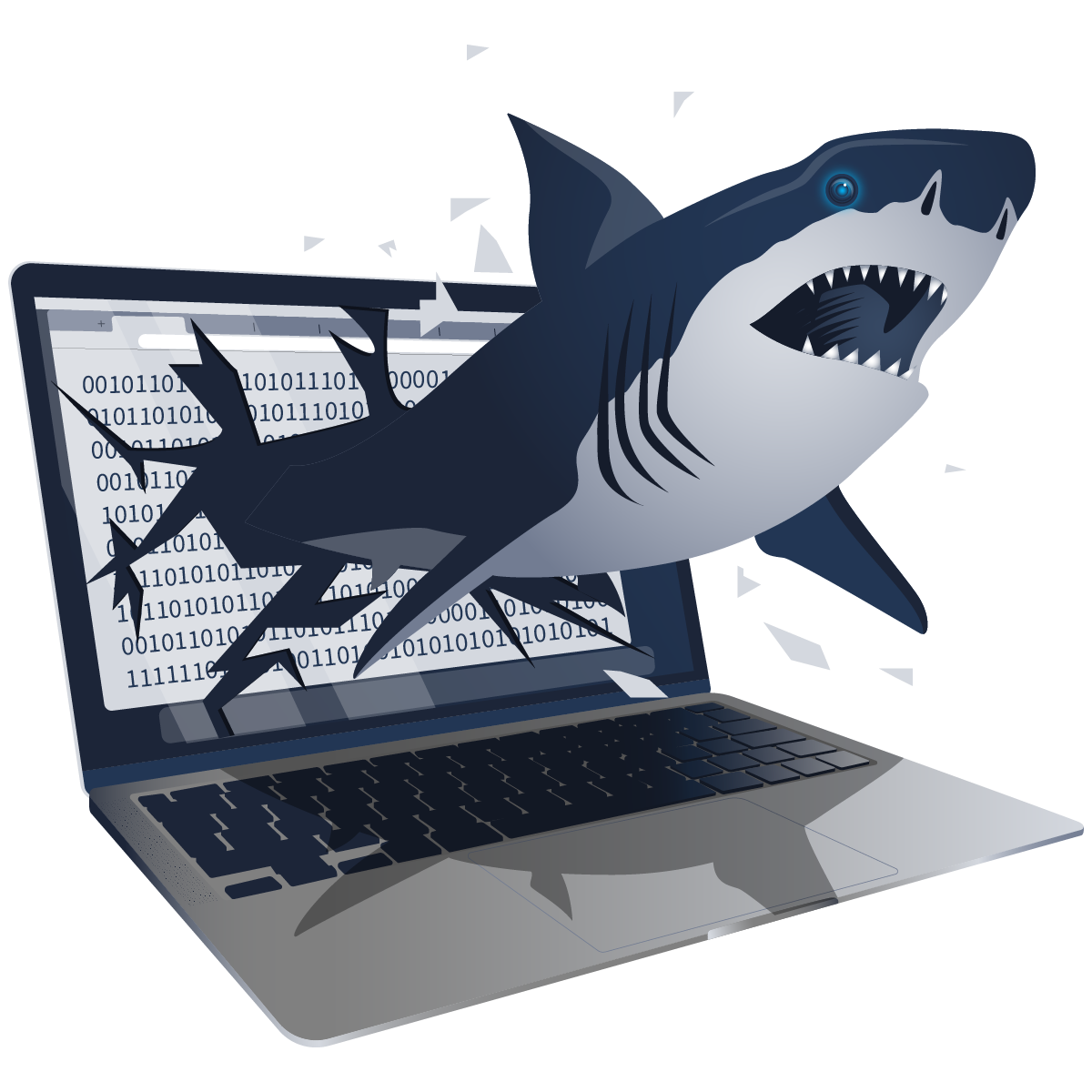Try Hack Me — TShark: The Basics — Walk Through | by Chaitanya Garware ...